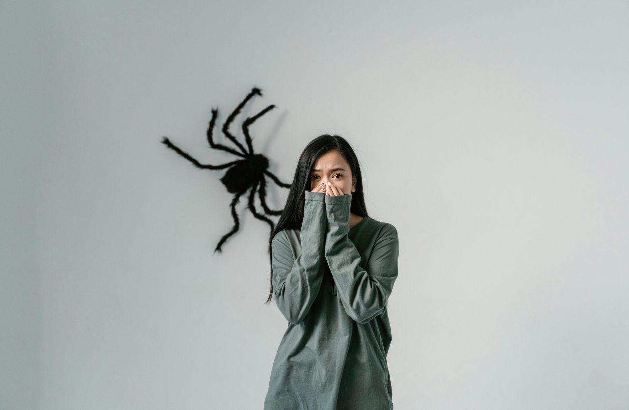 Ragni velenosi, ha le zampe lunghe e un morso dolorosissimo: lo abbiamo ...